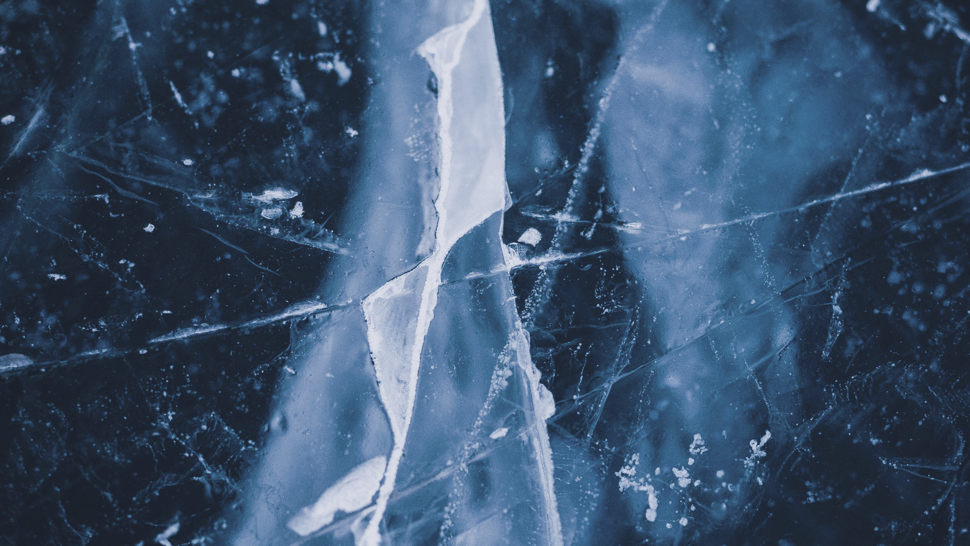 Vulnerability management - Rebasoft