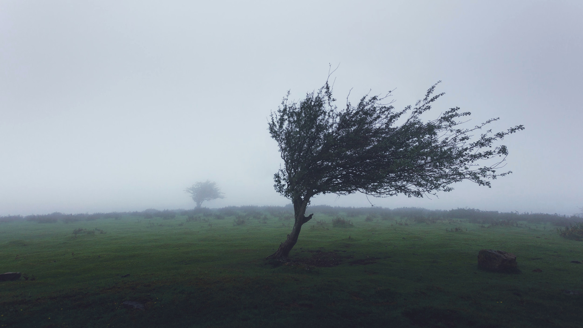 Cyber resilience - Rebasoft