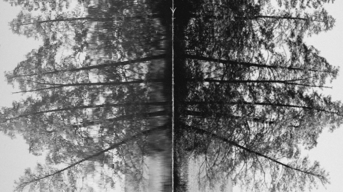 Rebasoft Home - Rebasoft